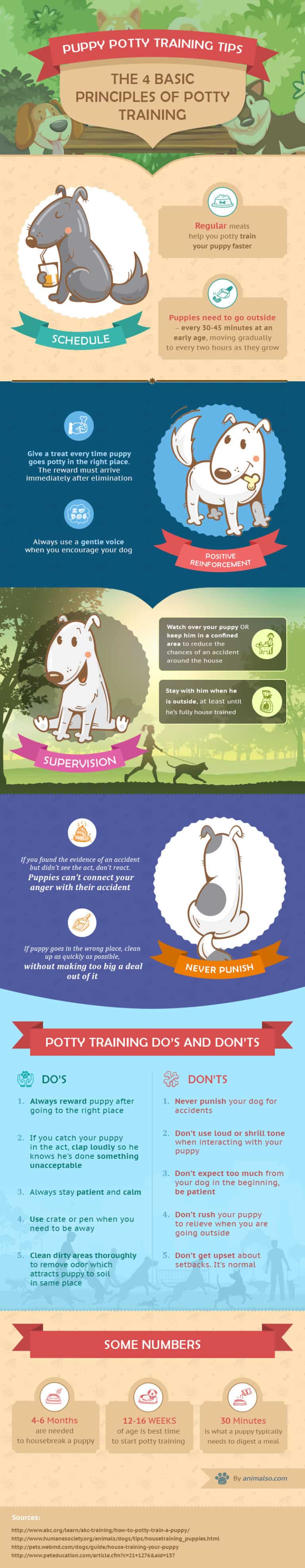 Potty Training Tips for Puppies & Dogs (Complete How-To Guide)